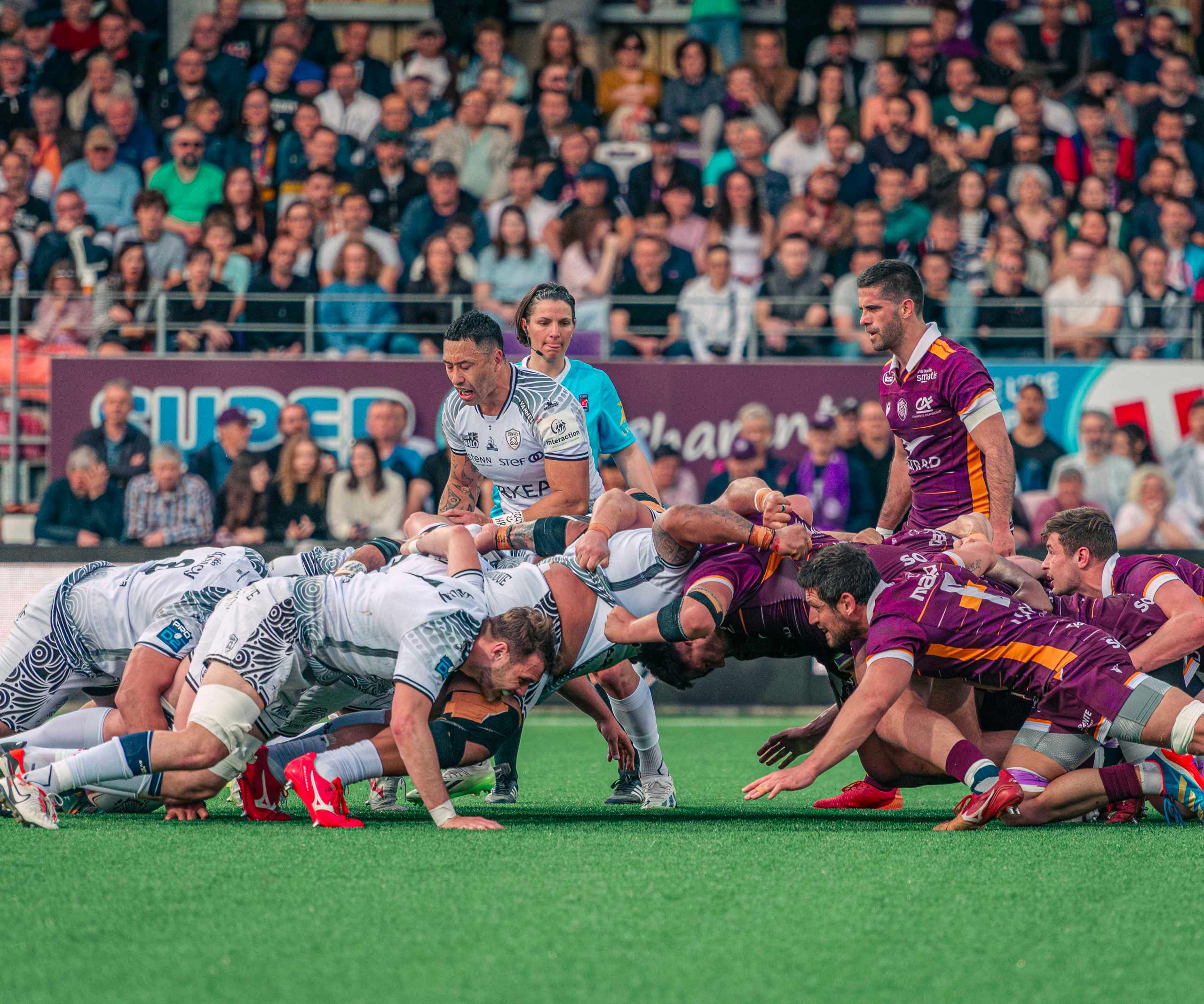 Focus sur le RC Vannes – SA XV Charente Rugby